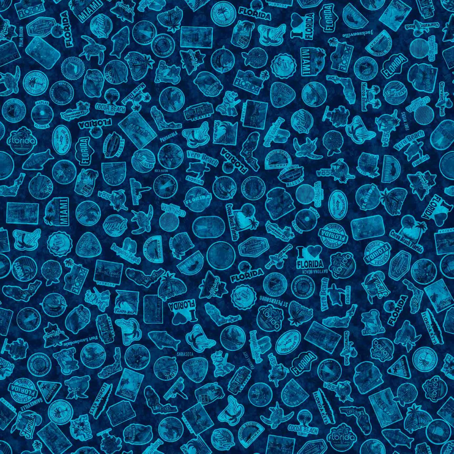 AFSH 2025 Florida Patches, Navy