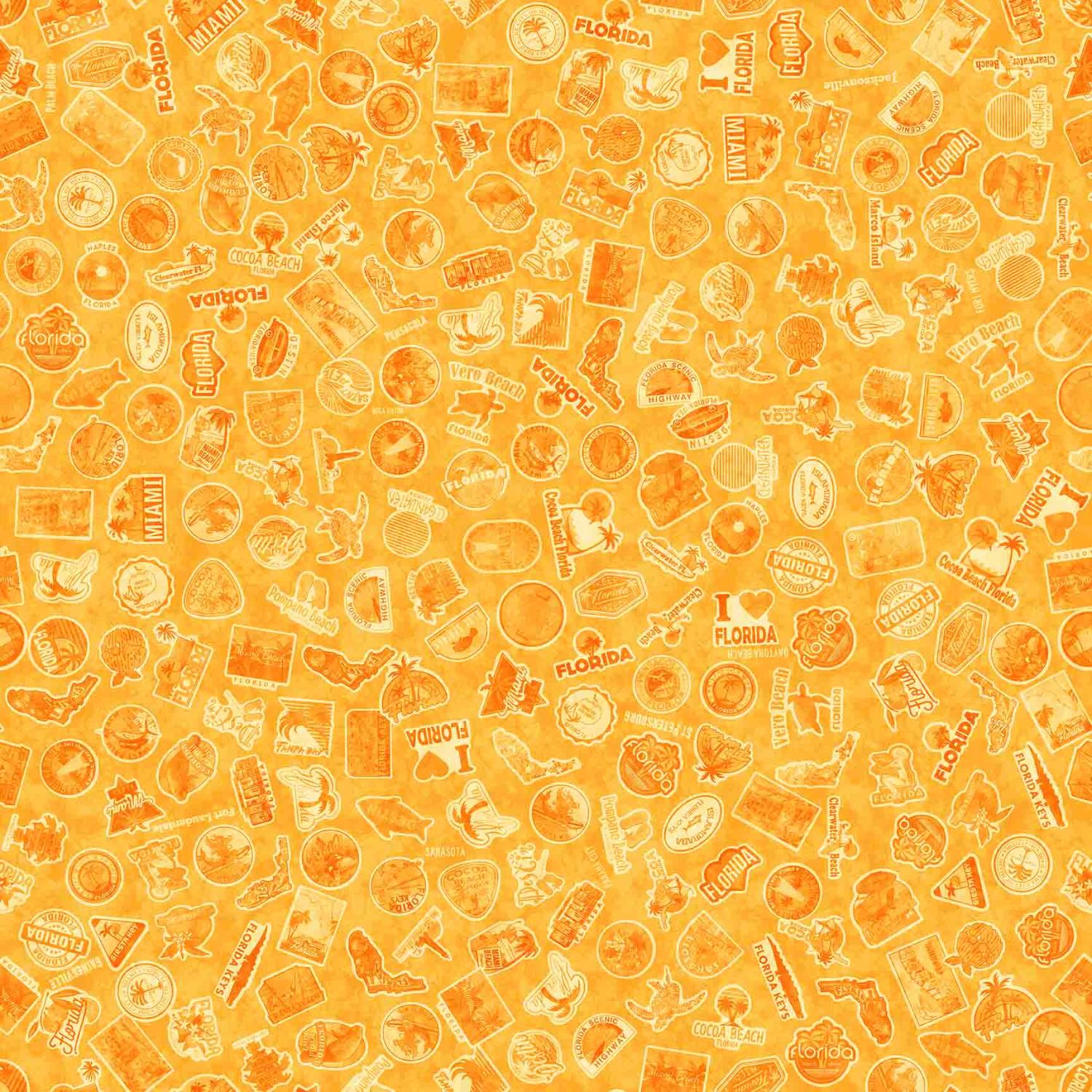 AFSH 2025 Florida Patches, Orange